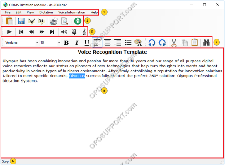 Text Correction overview - Professional Audio Support